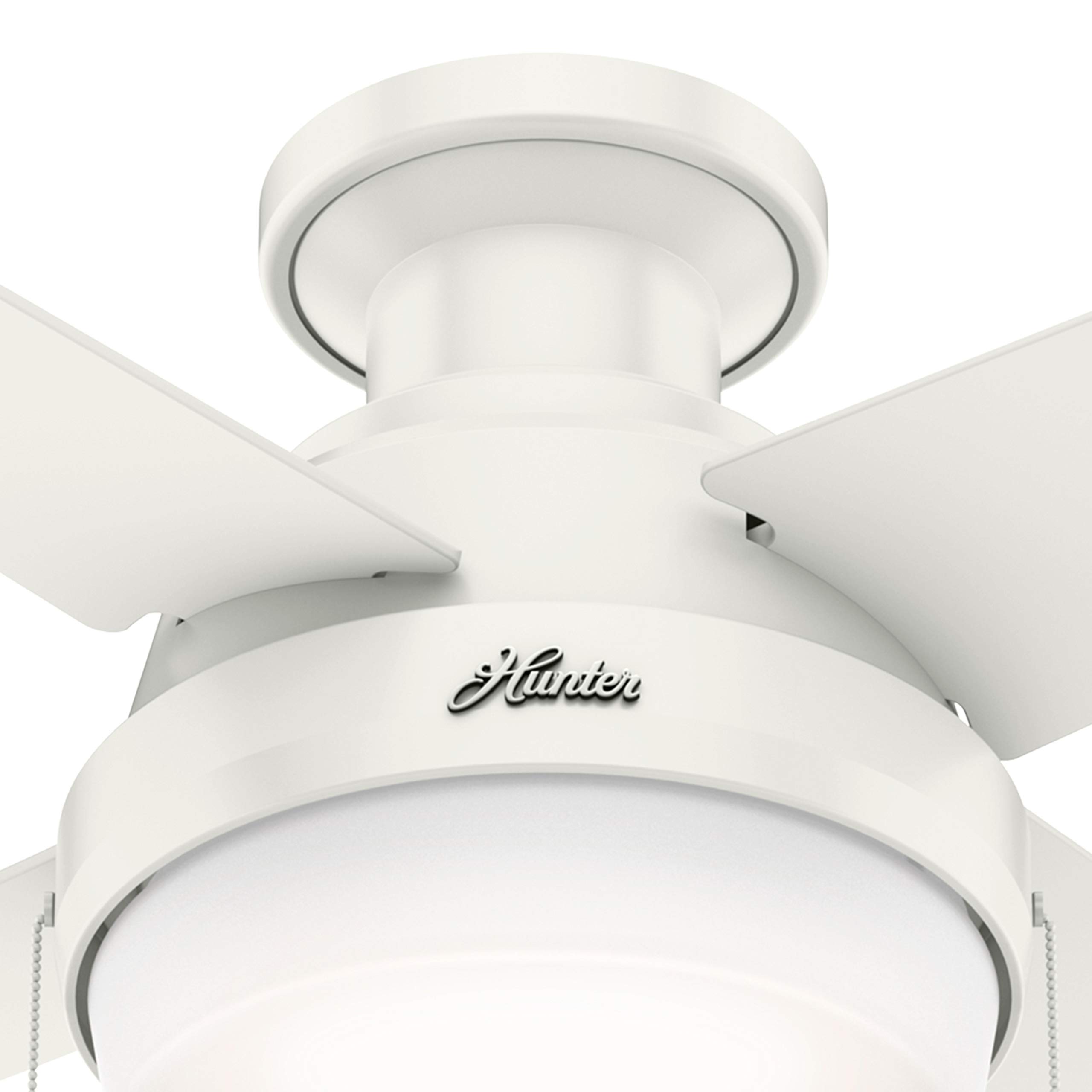 Snapklik.com : Hunter Fan 44 Inch Low Profile White Ceiling Fan