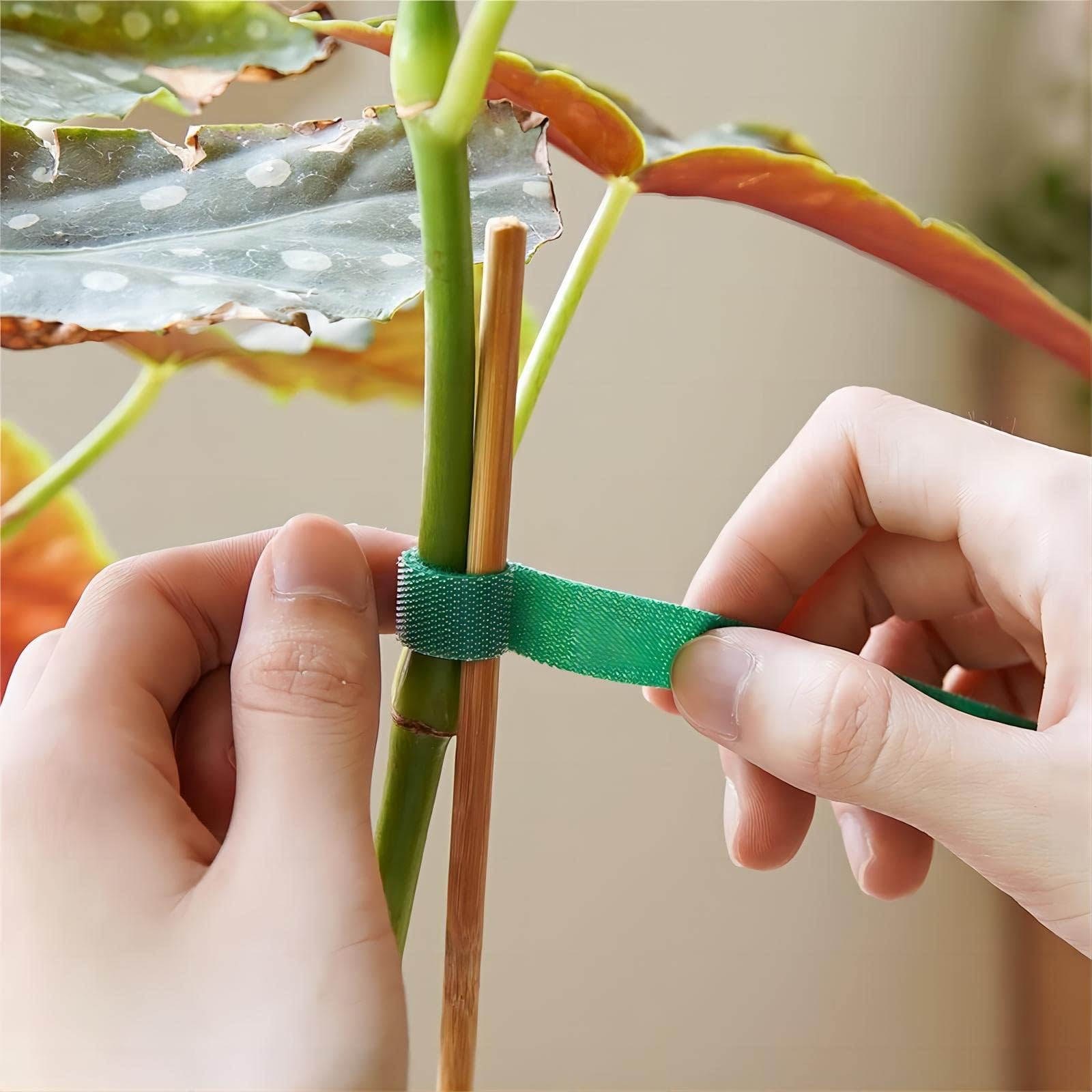 Botany-Spot Plant Support Clips, Garden Support Clips, Garden Clips ...