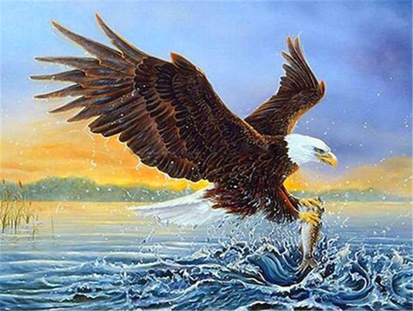 Eagle Catching Fish Art