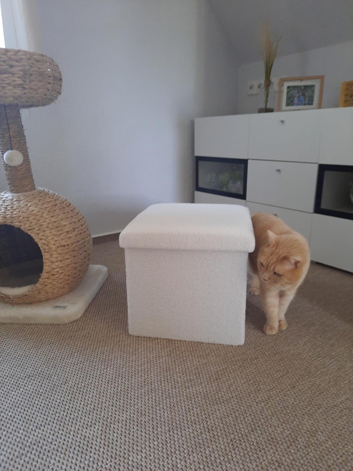 NAYA Studios® Hocker mit Stauraum - Faltbare Aufbewahrungsbox mit ...