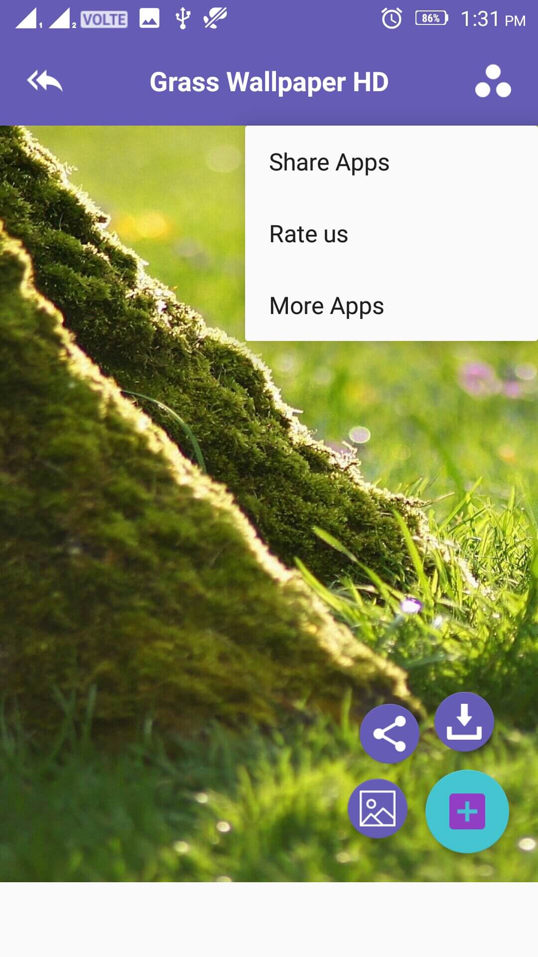 Grass 4K Wallpaper - App on Amazon Appstore