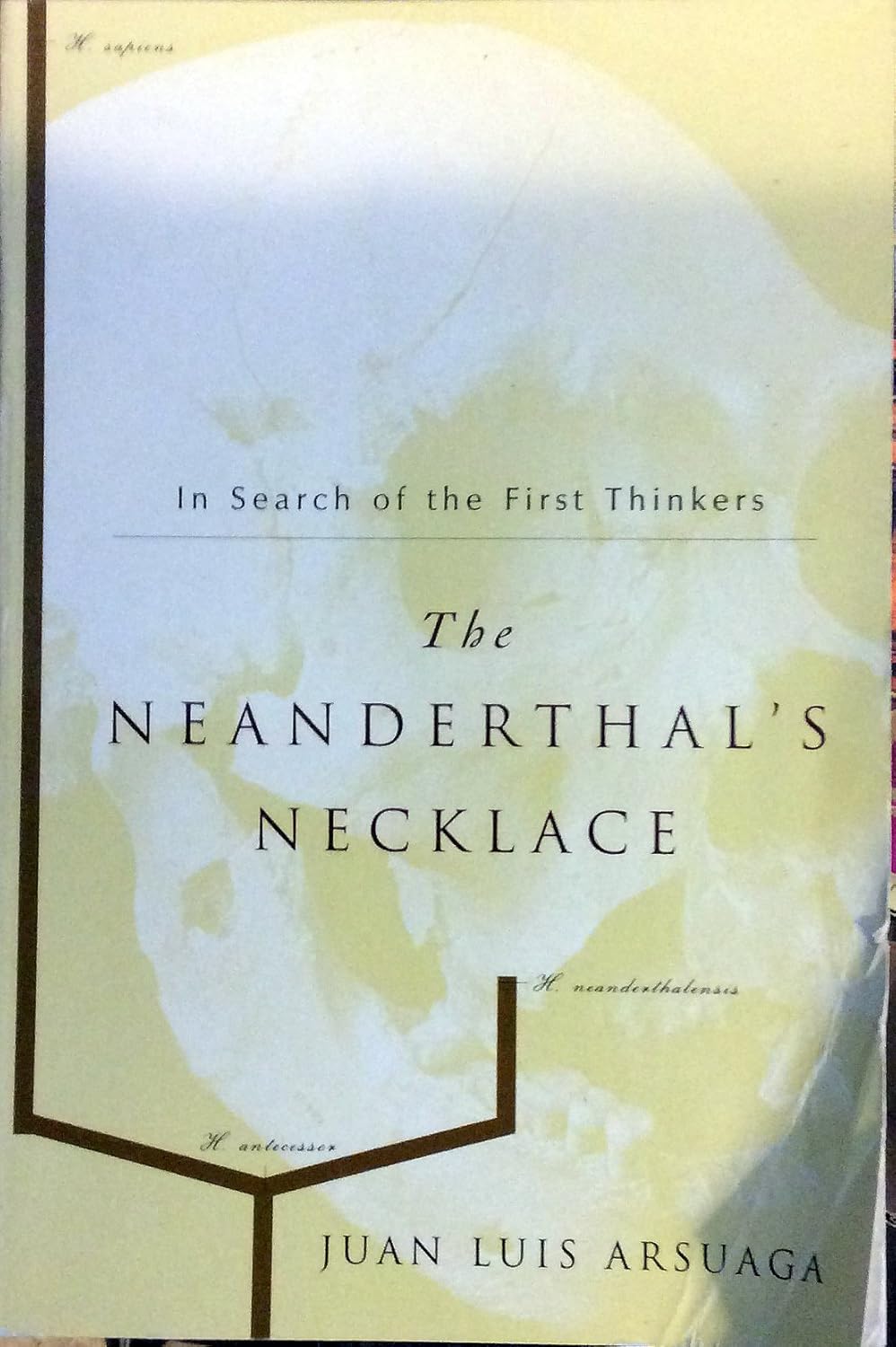 The Neanderthal's Necklace: In Search of the First Thinkers: Juan Luis ...