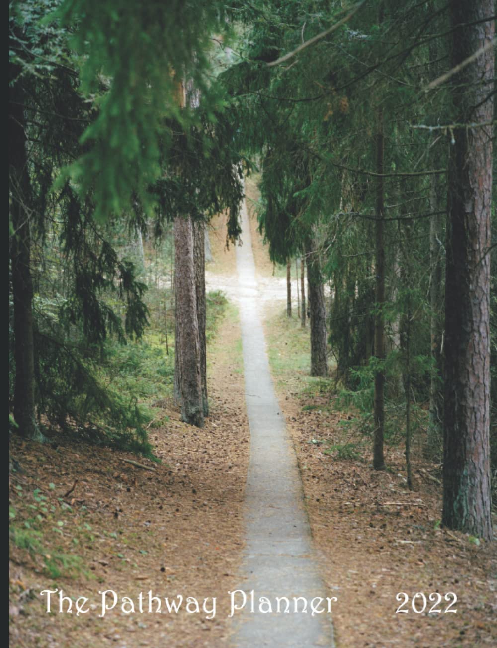 The Pathway Planner: 2022: LeBlanc, Denise C: 9798493243325: Amazon.com ...