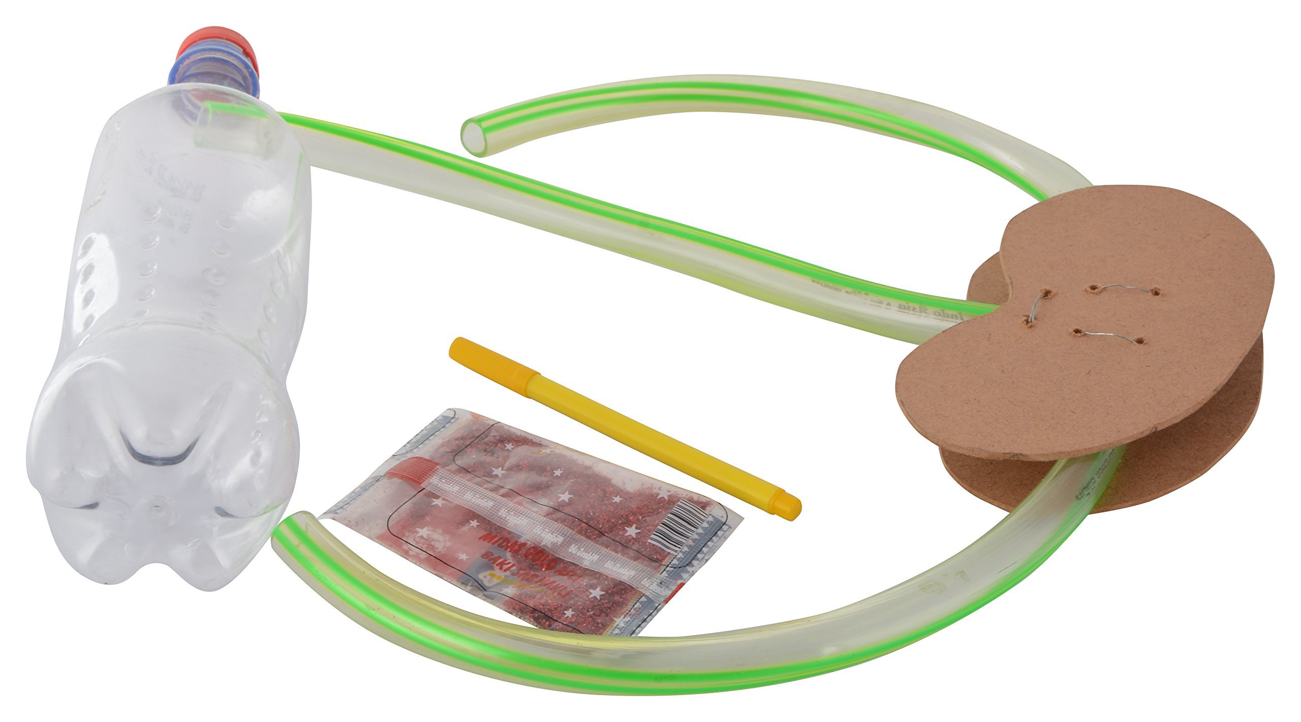 Buy ProjectsforSchool Working Model of Kidney Kit Science Project ...