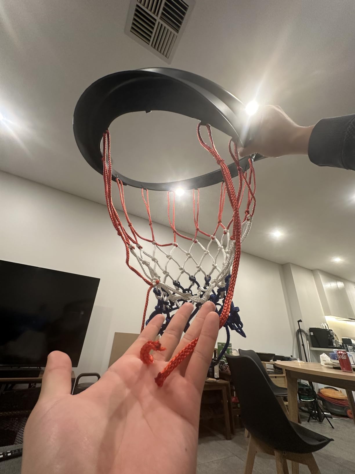 Basketball Net, Portable Basketball Hoop with Swish Sound, Easy to ...