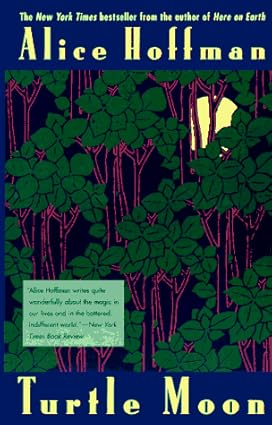 Turtle Moon: Hoffman, Alice: 9780425161289: Amazon.com: Books