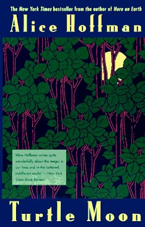 Turtle Moon: Hoffman, Alice: 9780425161289: Amazon.com: Books
