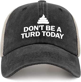Amazon.com: Don't Be A Turd Today Hat Funny Trucker Hats for Men Funny ...