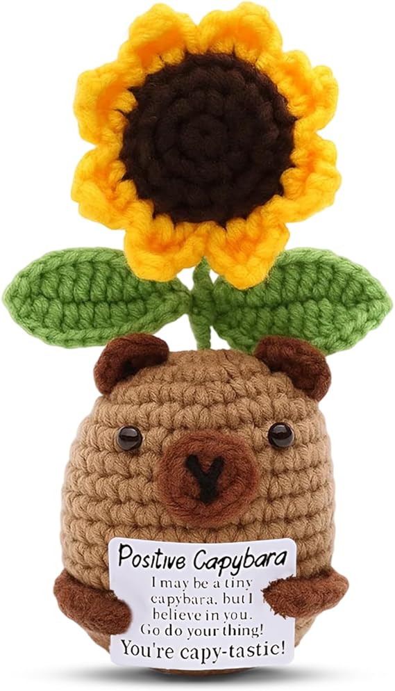 GZGRYTRC Capybara Gifts, Positive Crochet Animals with Sunflower ...