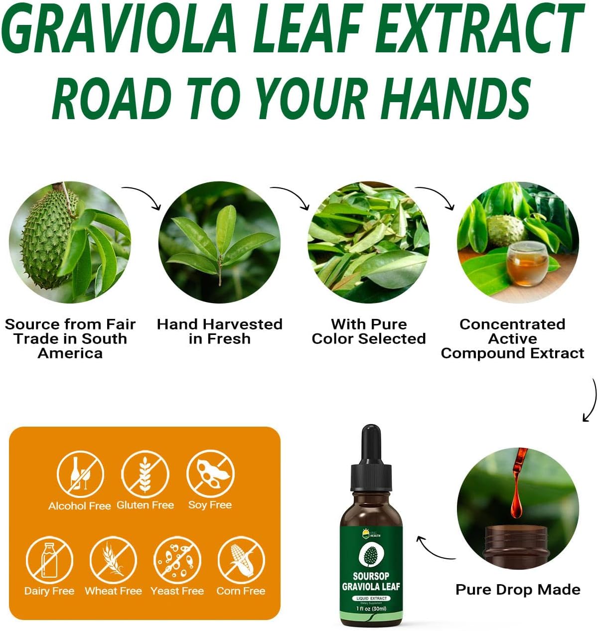 Organic Soursop Graviola Leaf Extract - 1 fl oz Morocco | Ubuy
