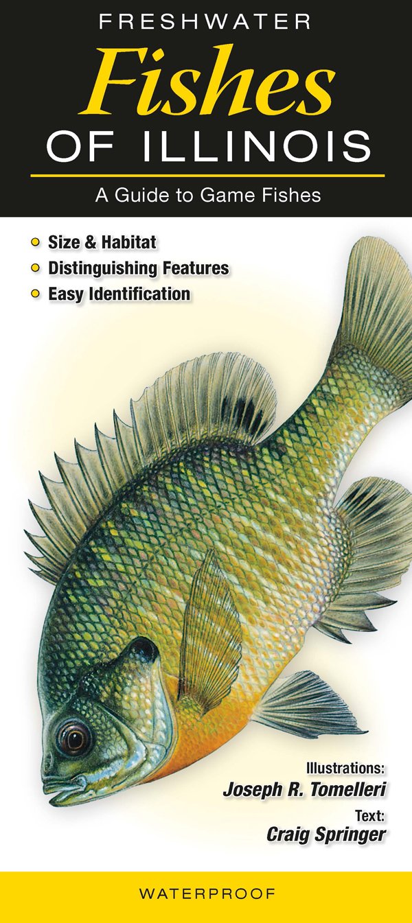 Snapklik.com : Freshwater Fishes Of Illinois: A Guide To Game Fishes