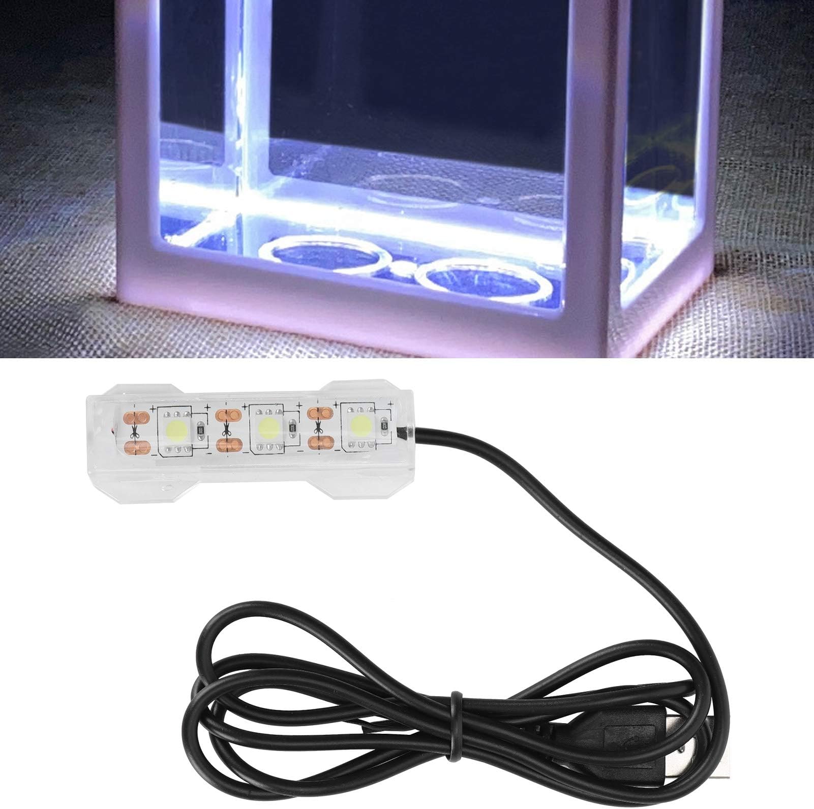 Small Aquarium Light,Small Aquarium Water Plant Light Desktop Fish Tank ...
