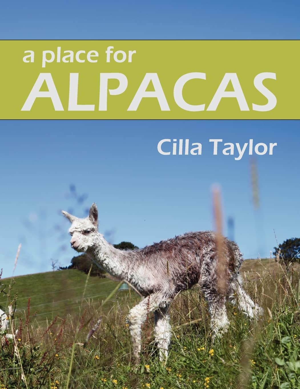 a place for ALPACAS: Taylor, Cilla: 9781470084622: Amazon.com: Books