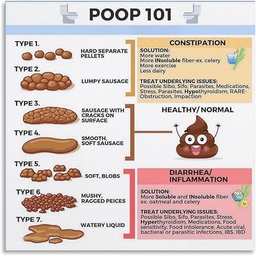 Amazon.com: Poop Chart Bristol Stool Chart Poster Stool Chart Canvas ...