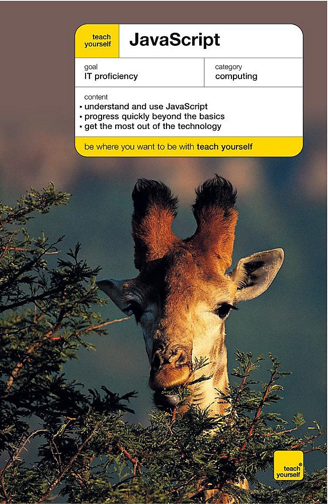Teach Yourself JavaScript (TYCO): Amazon.co.uk: Bride, Mac: 9780340811290: Books