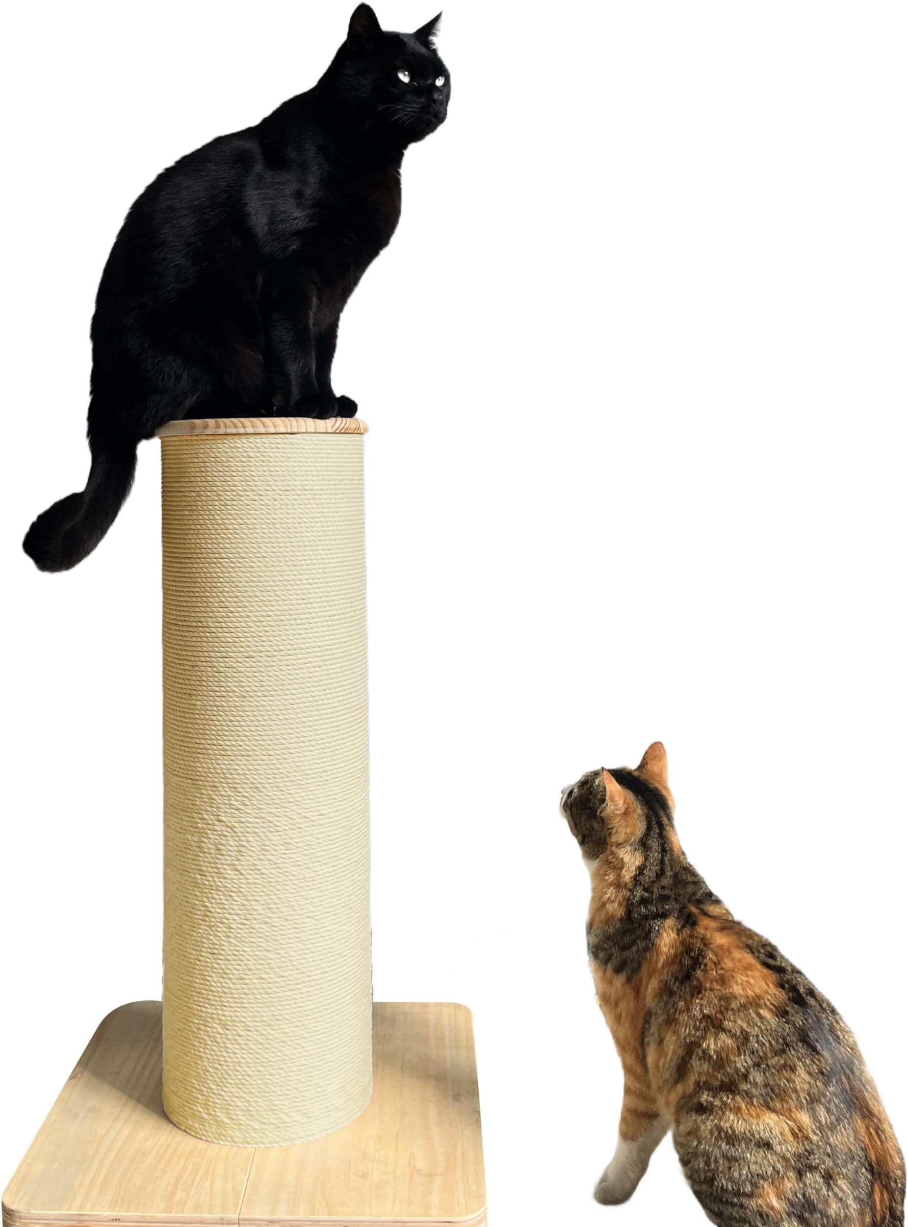 Amazon.com : Feline Nuvo Medium, Forte Scratching Post- Brio : Pet Supplies