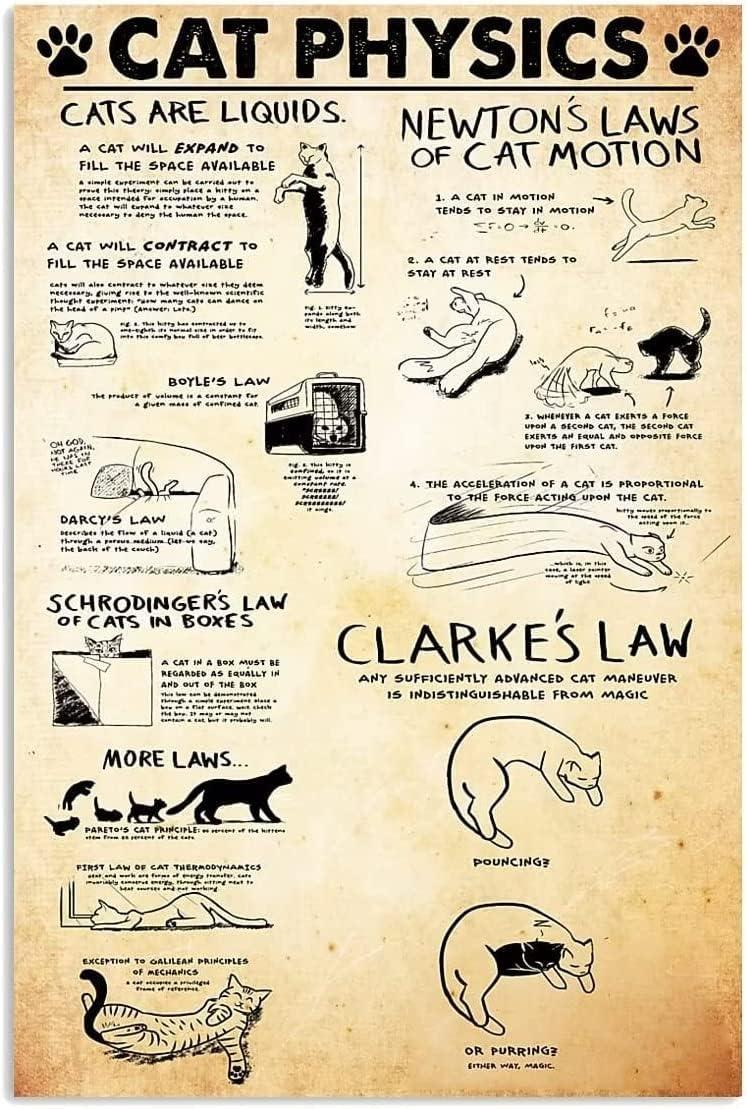 Amazon.com: Starotore Cat Physics Knowledge Metal Tin Signs Vintage ...
