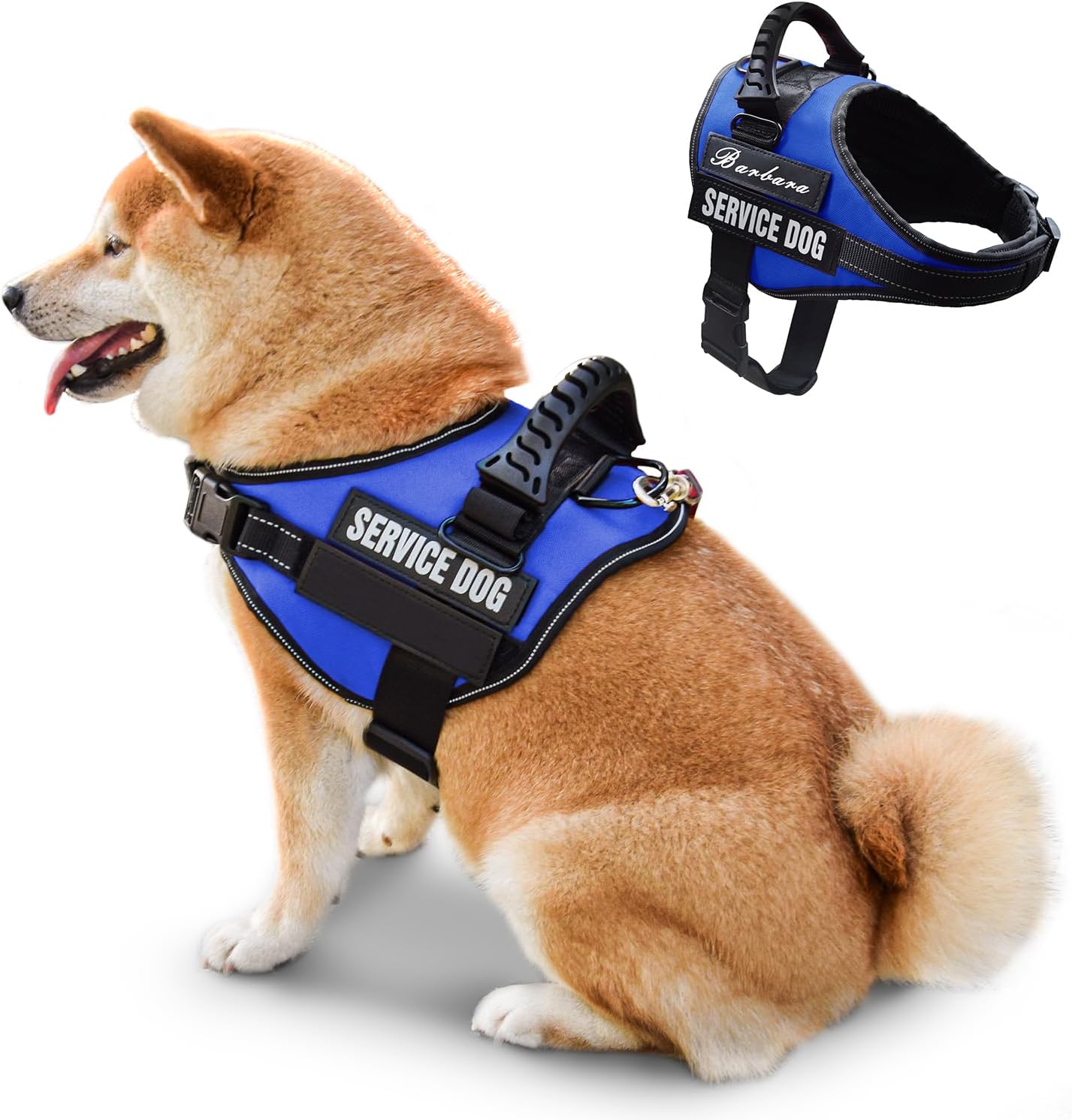 Amazon.com : Somiso Personalized Dog Harness No Pull Pet Harness with ...