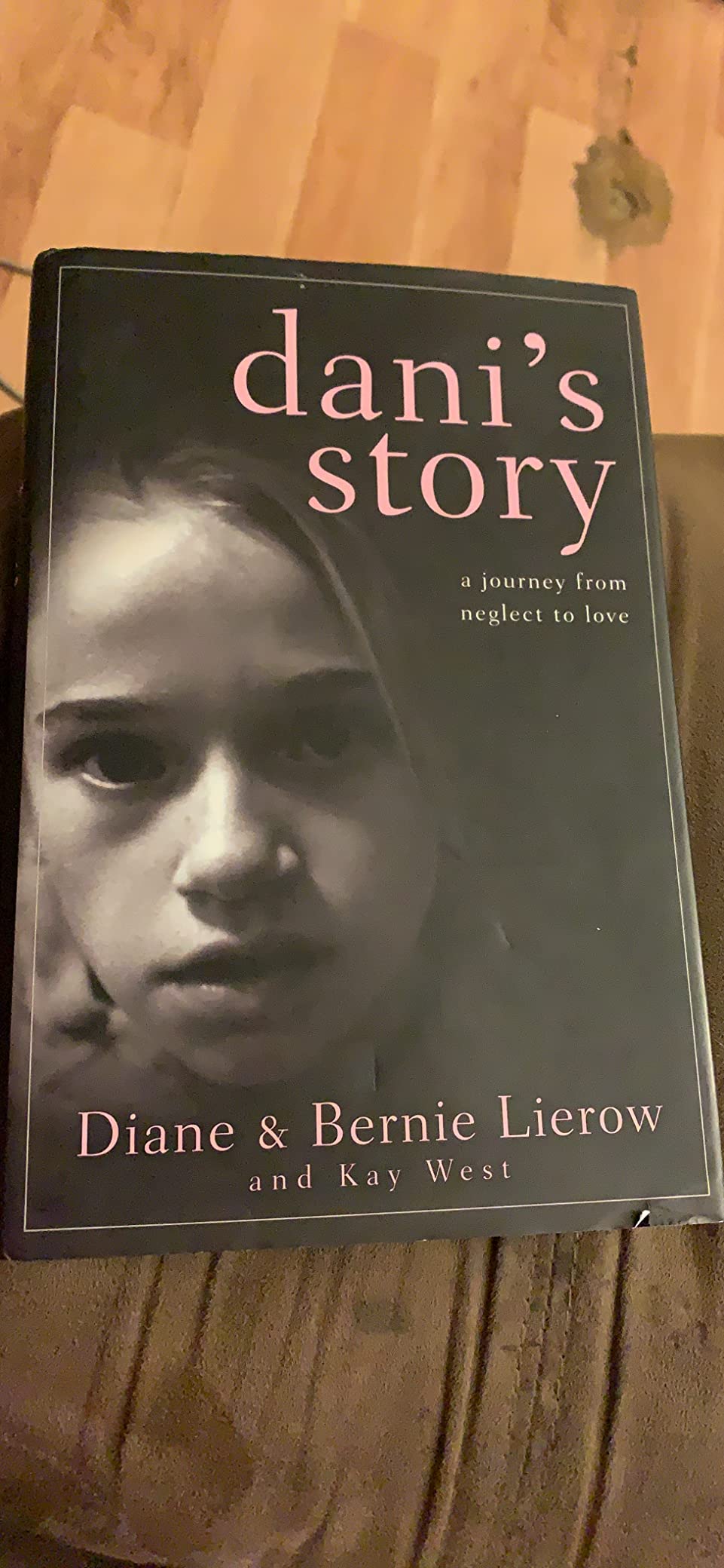 Amazon.com: Dani's Story: A Journey from Neglect to Love eBook : Lierow ...