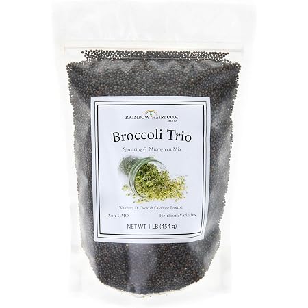 Amazon.com : Broccoli Seeds for Sprouting & Microgreens | Waltham 29 ...