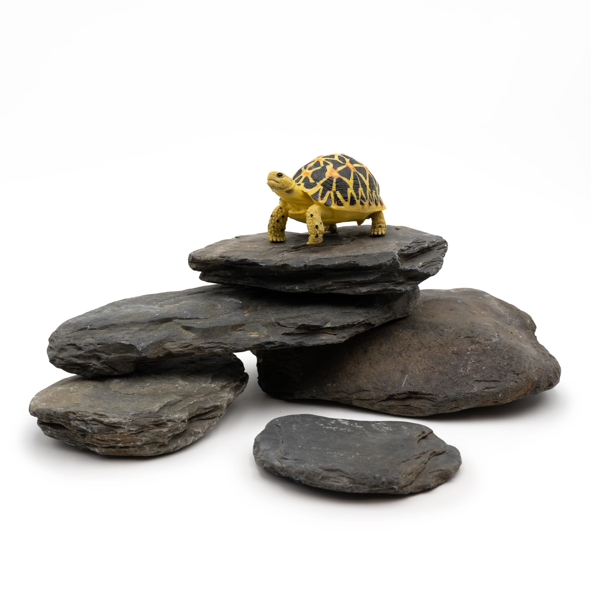 Amazon.com : KINGRUI Aquarium Stone, Stream Turtle Platform, Natural ...