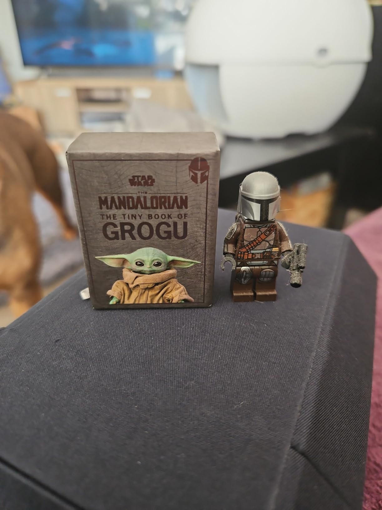 Star Wars: The Tiny Book of Grogu (Star Wars Gifts and Stocking ...