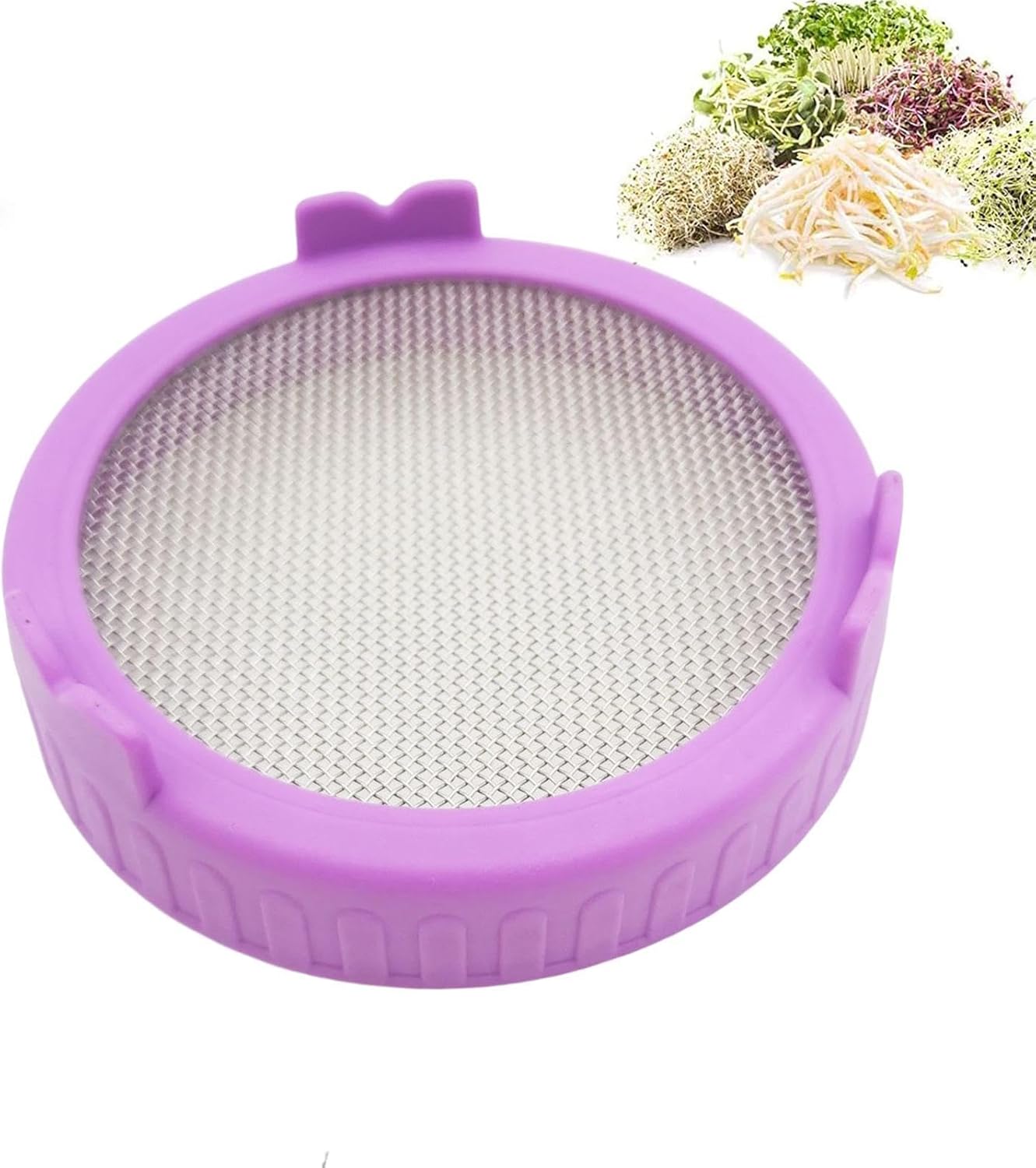 Amazon.com: Mason Jar Sprouting Lid - Alfalfa and Mung Bean Sprouts ...