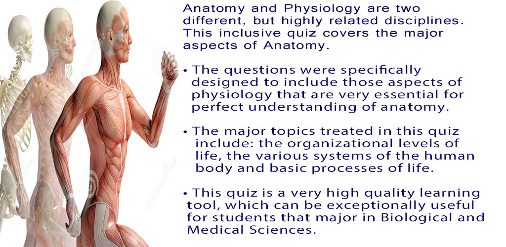 Human Anatomy Test Questions Heart Anatomy Quiz