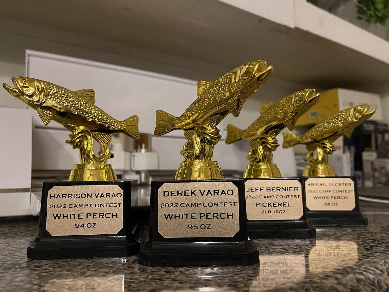 $2/mo - Finance Juvale Small Fish Trophy, Golden Fishing Award for ...