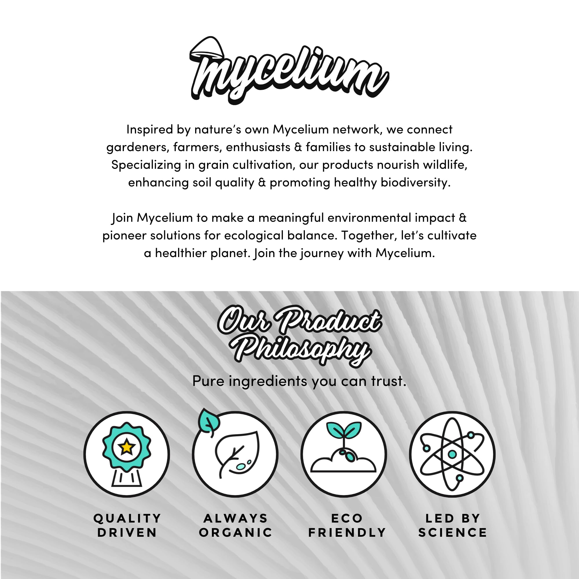 Snapklik.com : Mycelium Mushroom Growing Kit, King Oyster Gourmet I ...