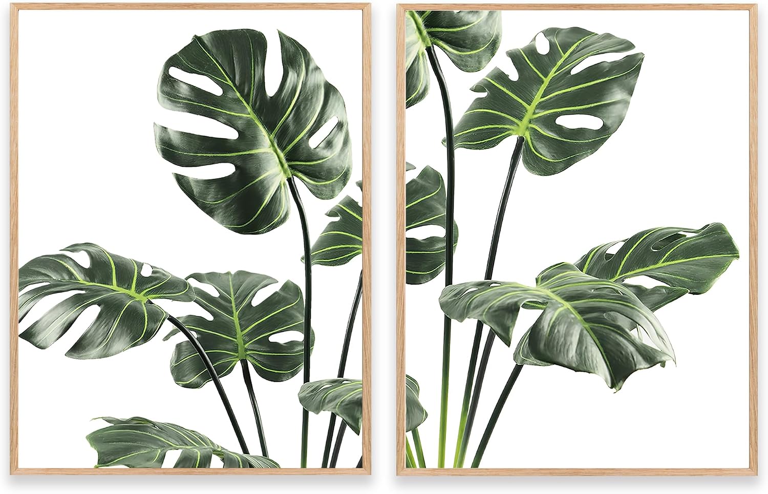 Amazon.com: Botanical Plant Wall Art Tropical Leaf Prints Monstera Leaf ...