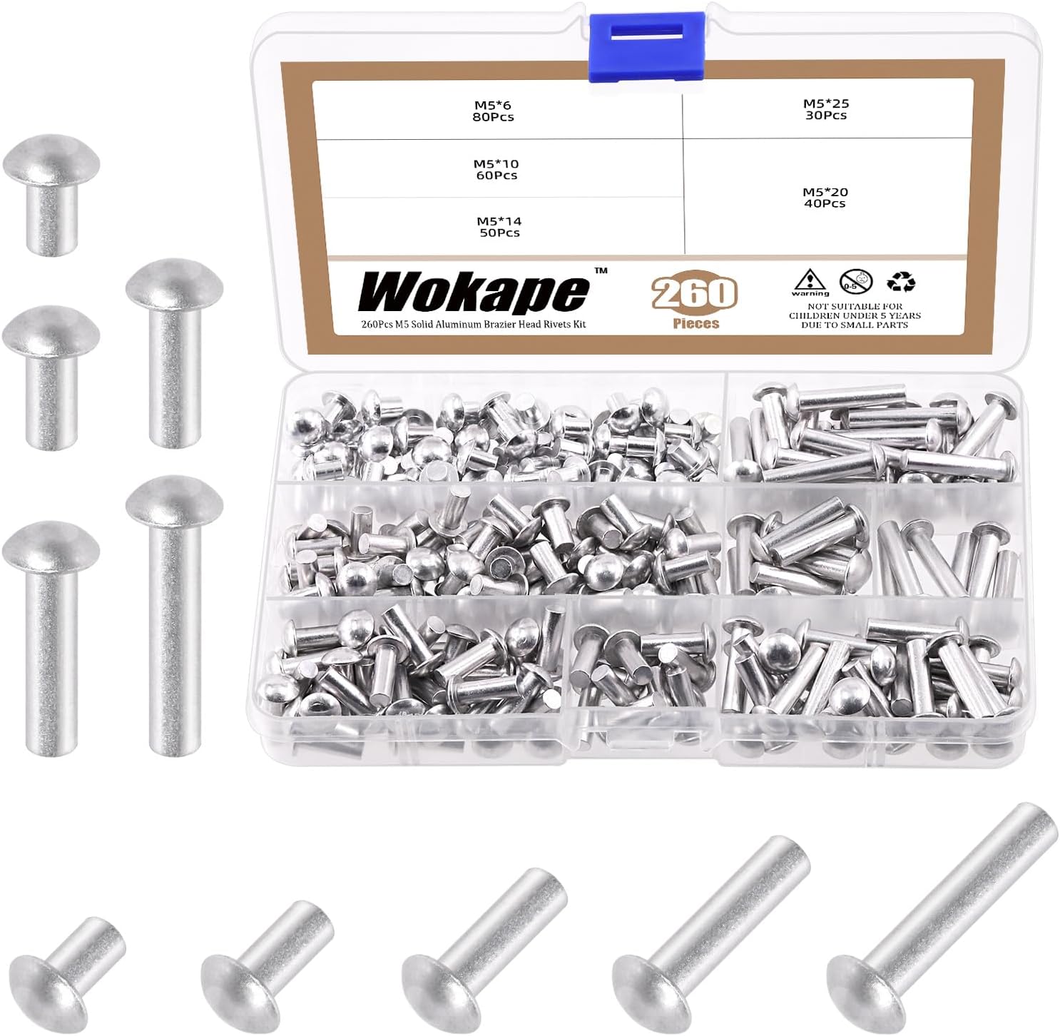 Wokape 260Pcs Flat Head Solid Rivets M5 Kit, Aluminum Brazier Head ...