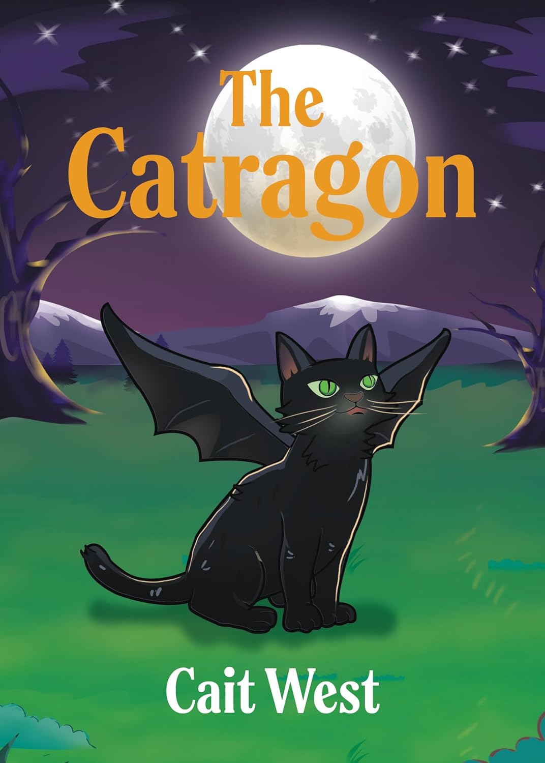 The Catragon - Kindle edition by West,Cait. Children Kindle eBooks ...