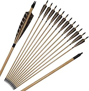 Amazon.com : TOPARCHERY Archery Wooden Arrows, 32 inch Traditional ...