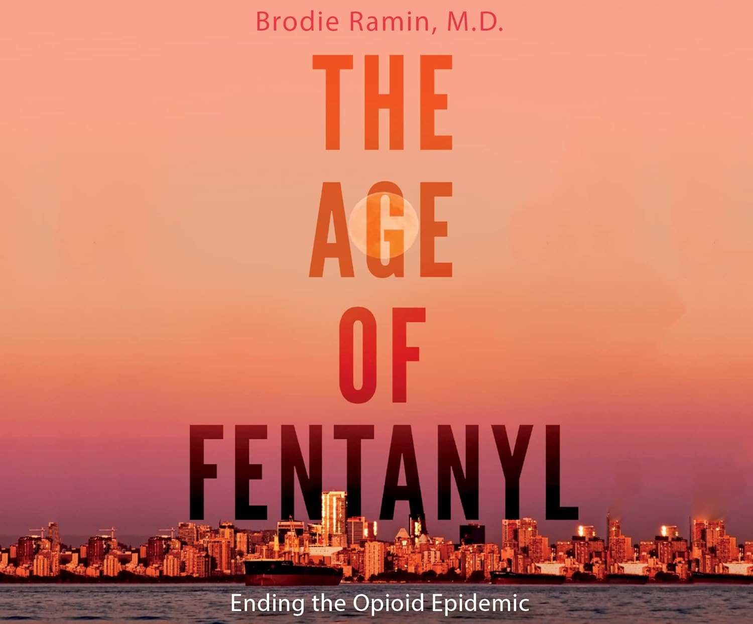 Amazon.com: The Age of Fentanyl: Ending the Opioid Epidemic ...