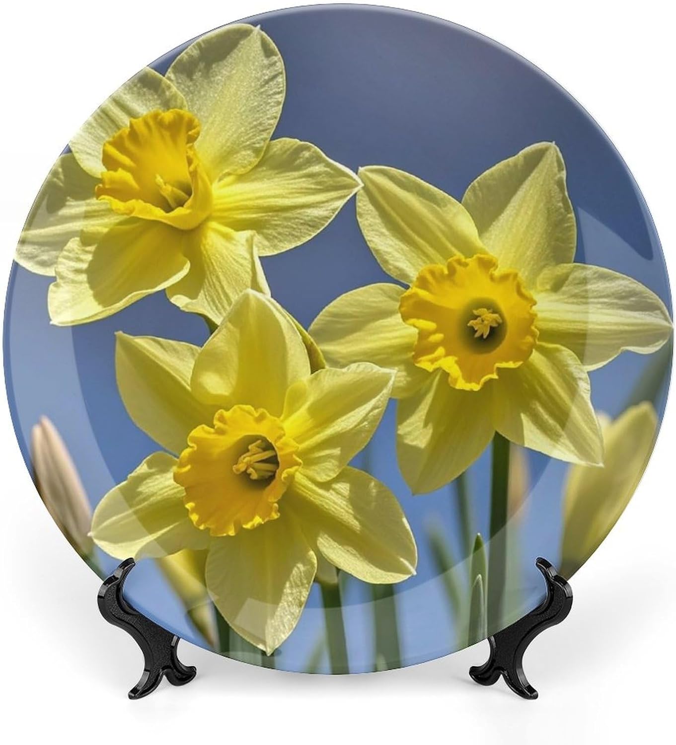 Amazon.com | SLKMHFT 10inch Bone China Decorative Plate with Display ...