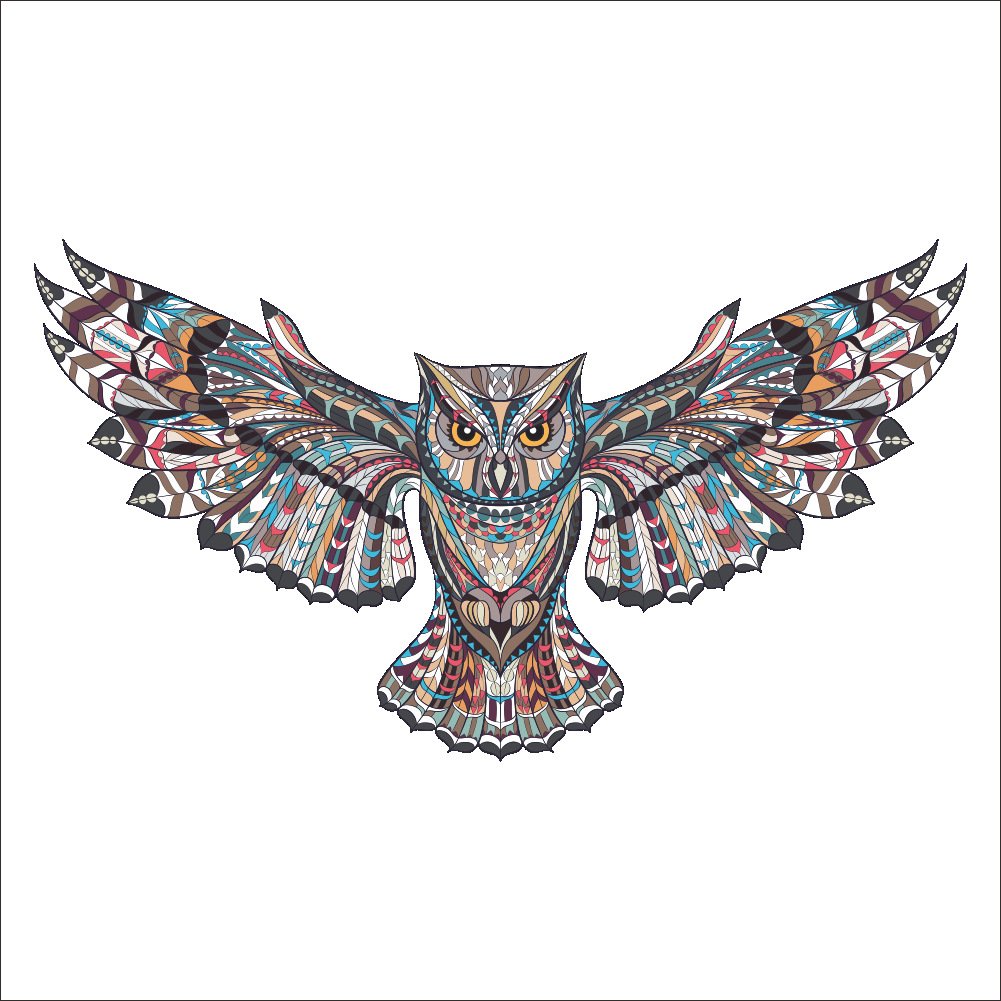 Native American Owl Designs