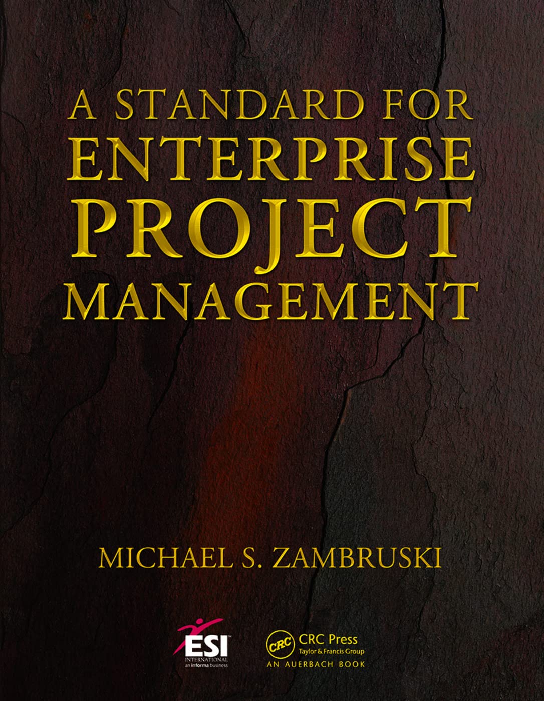 Amazon.com: A Standard for Enterprise Project Management (ESI ...