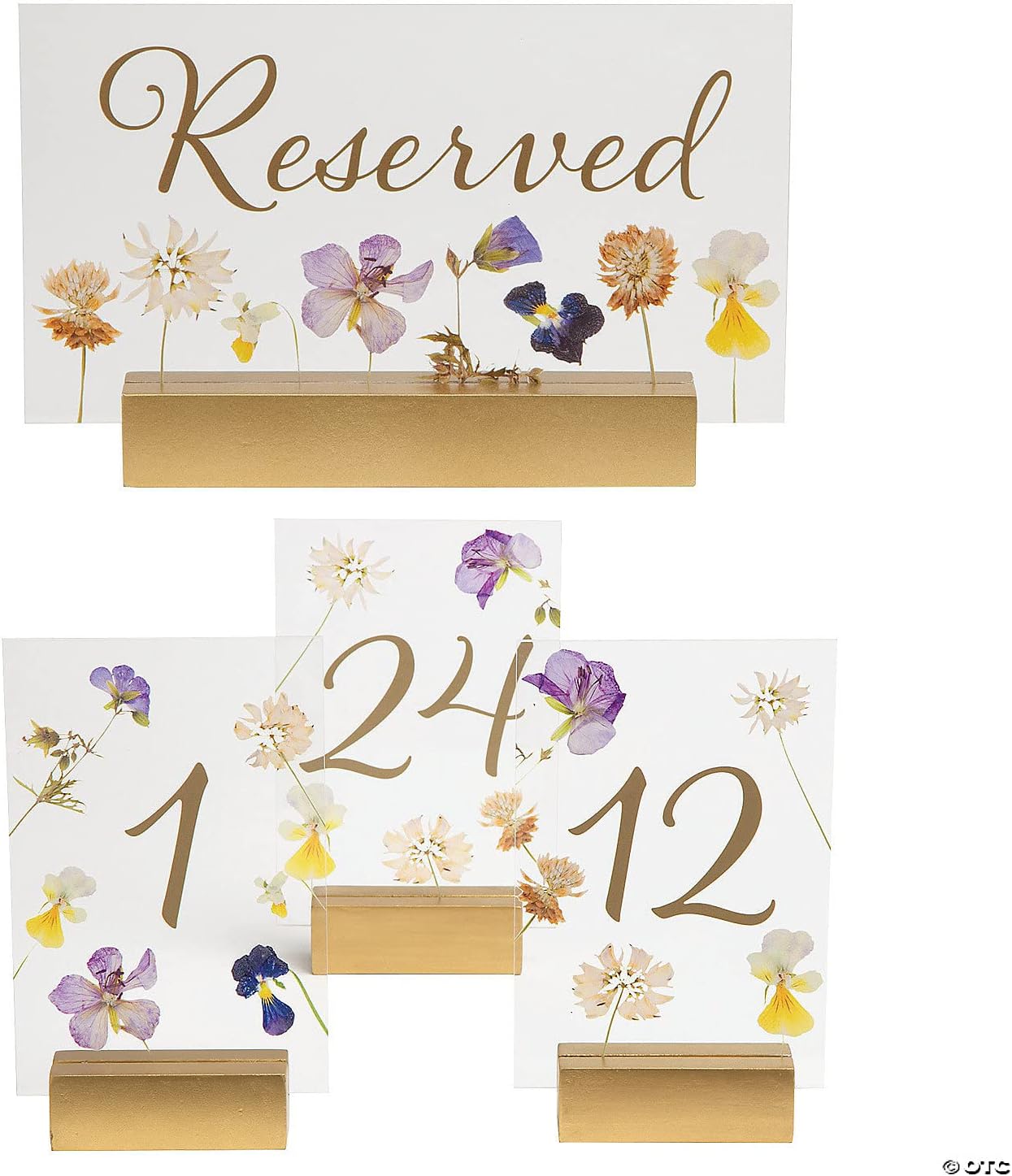 Amazon.com: Fun Express Wedding Pressed Flower Table Numbers Set ...