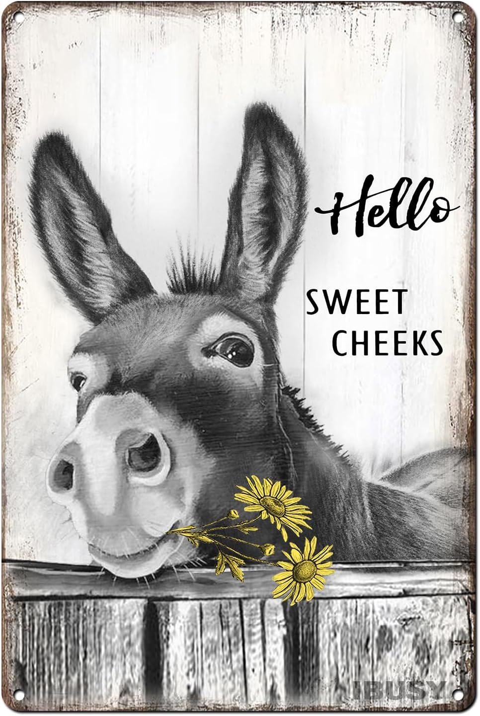 Amazon.com: ibusy Ibusy Funny Vintage Donkey Tin Sign Hello Sweet ...