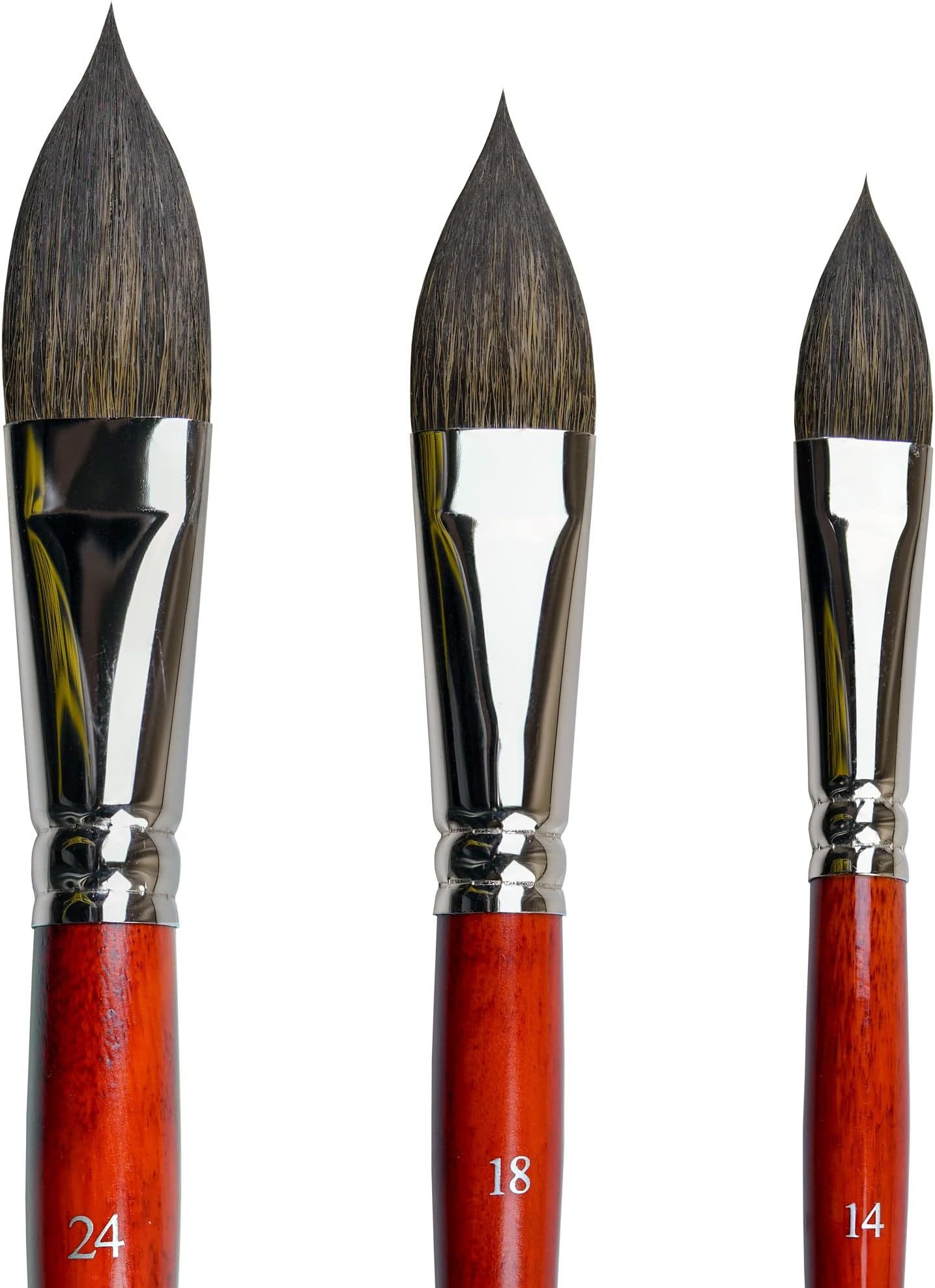 Amazon.com: ZEM Brush Golden Taklon Cat's Tongue Brush Set