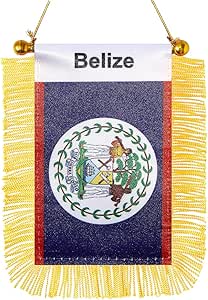 Amazon.com : SoKoot Belize Window Hanging Flag Mini Small Belizeans Car ...
