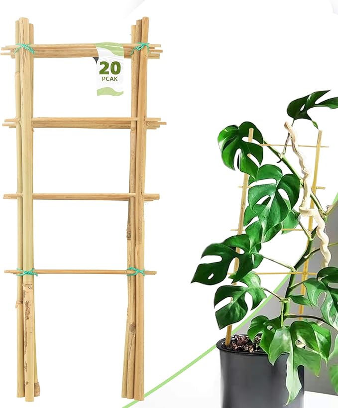 Amazon.com : Avalution 20 Pack Bamboo Trellis for Climbing Plants ...
