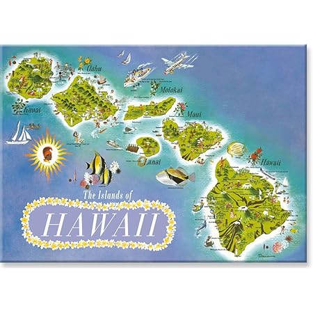 Amazon.com: Hawaiian Art Collectible Refrigerator Magnet - The Islands ...