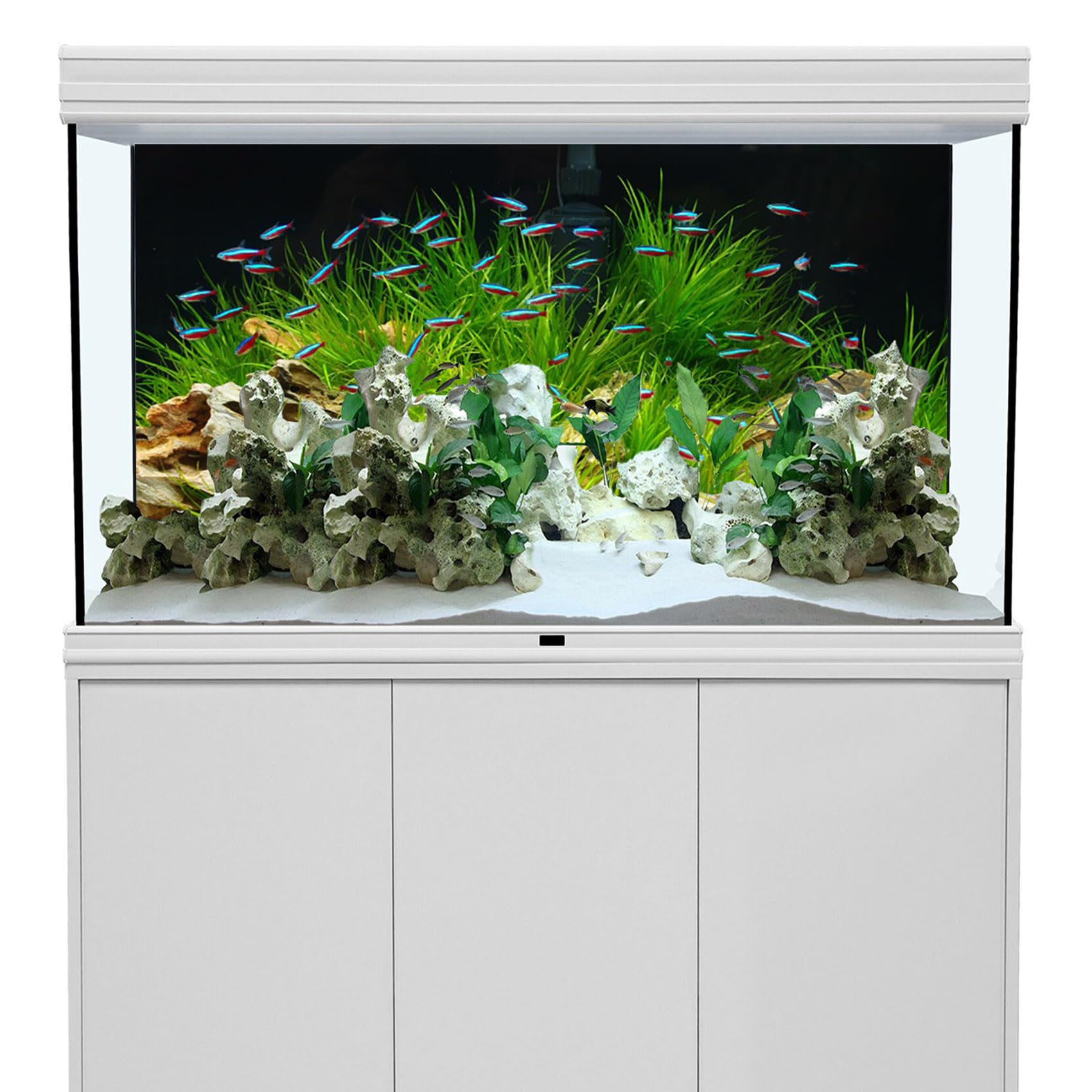 Snapklik.com : Fish Tank Background 48x20 Inch Aquarium Background ...