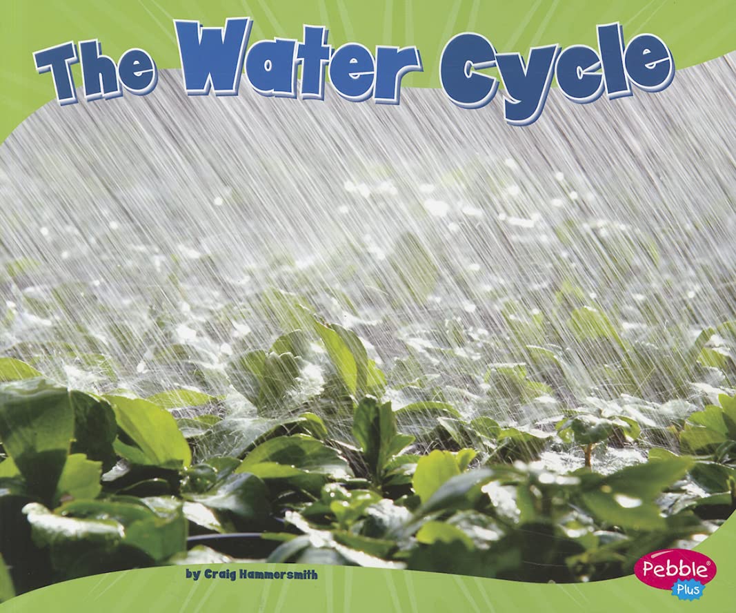 Water Cycle (Earth and Space Science): Craig Hammersmith: 9781429671422 ...