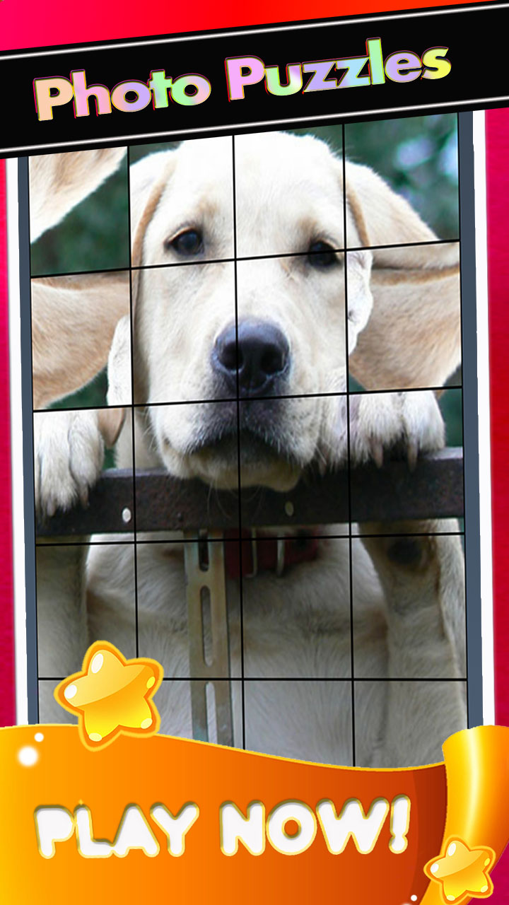 Labrador Retriever-Labrador Dogs Puzzle Game - App on Amazon Appstore
