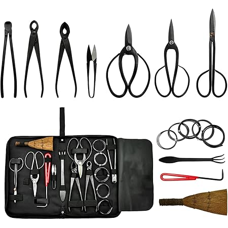 Amazon.com: Bonsai Tools Set with Wood Box 12PCS Heavy Duty Bonsai Tree ...
