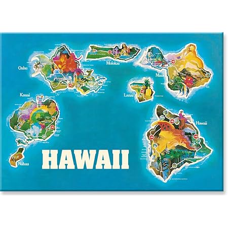 Amazon.com: Hawaiian Art Collectible Refrigerator Magnet - Hawaii: Home ...