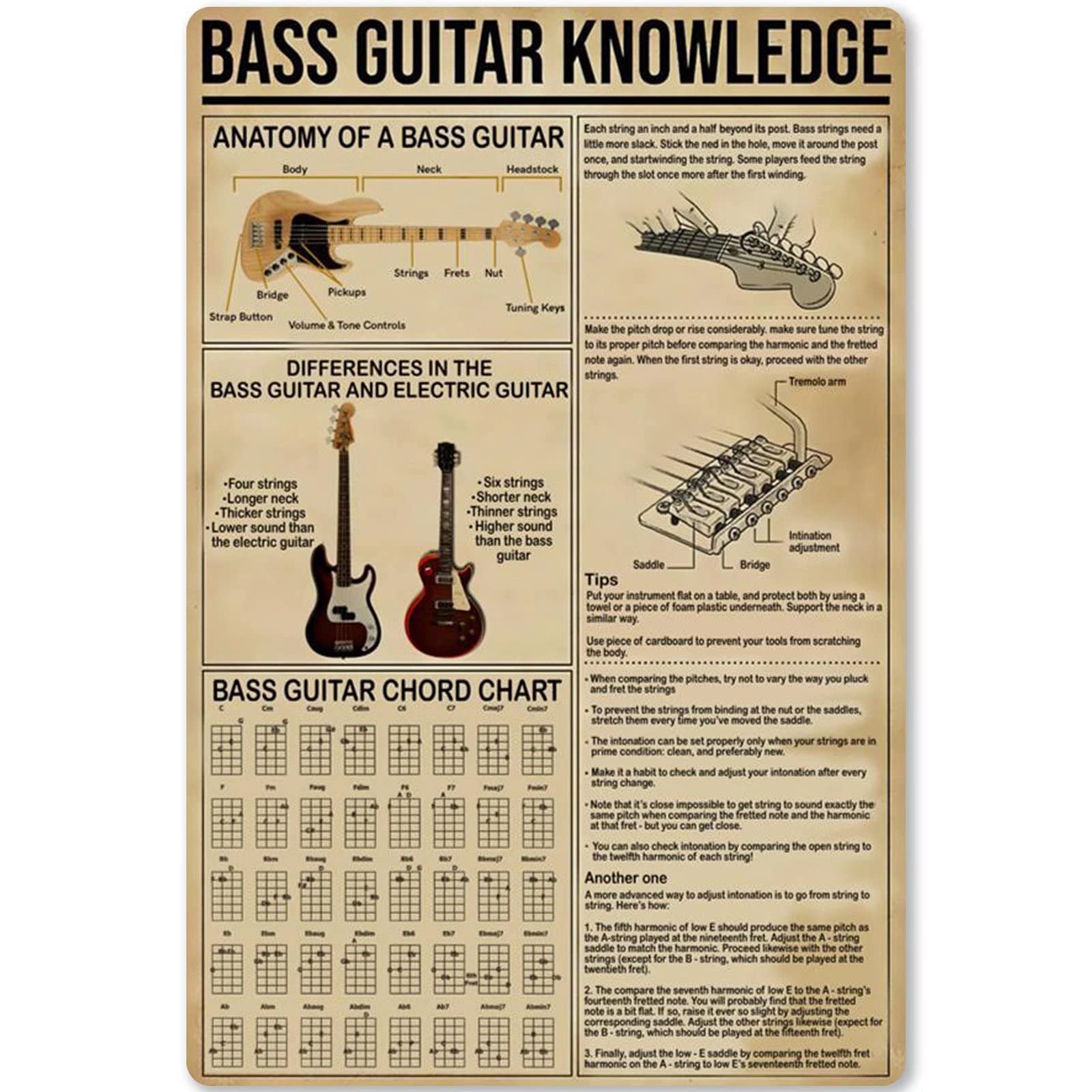Snapklik.com : Bass Guitar Knowledge Metal Sign Anatomy Of A Bass ...